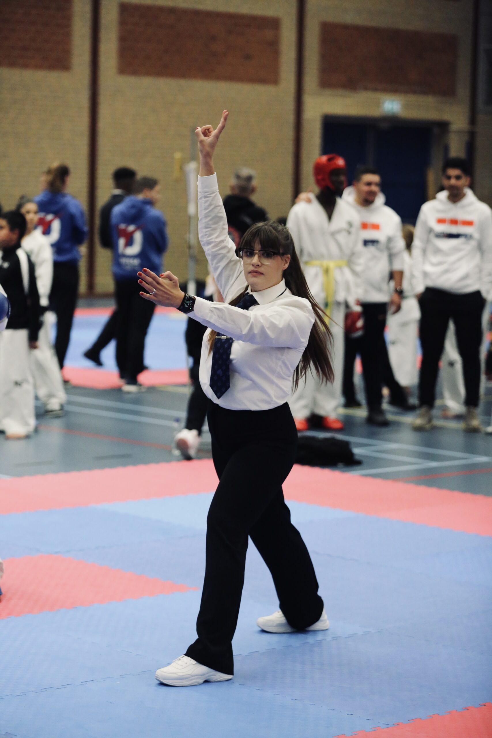 Nieuwe commissieleden bij de WSC - I.T.F. Nederland